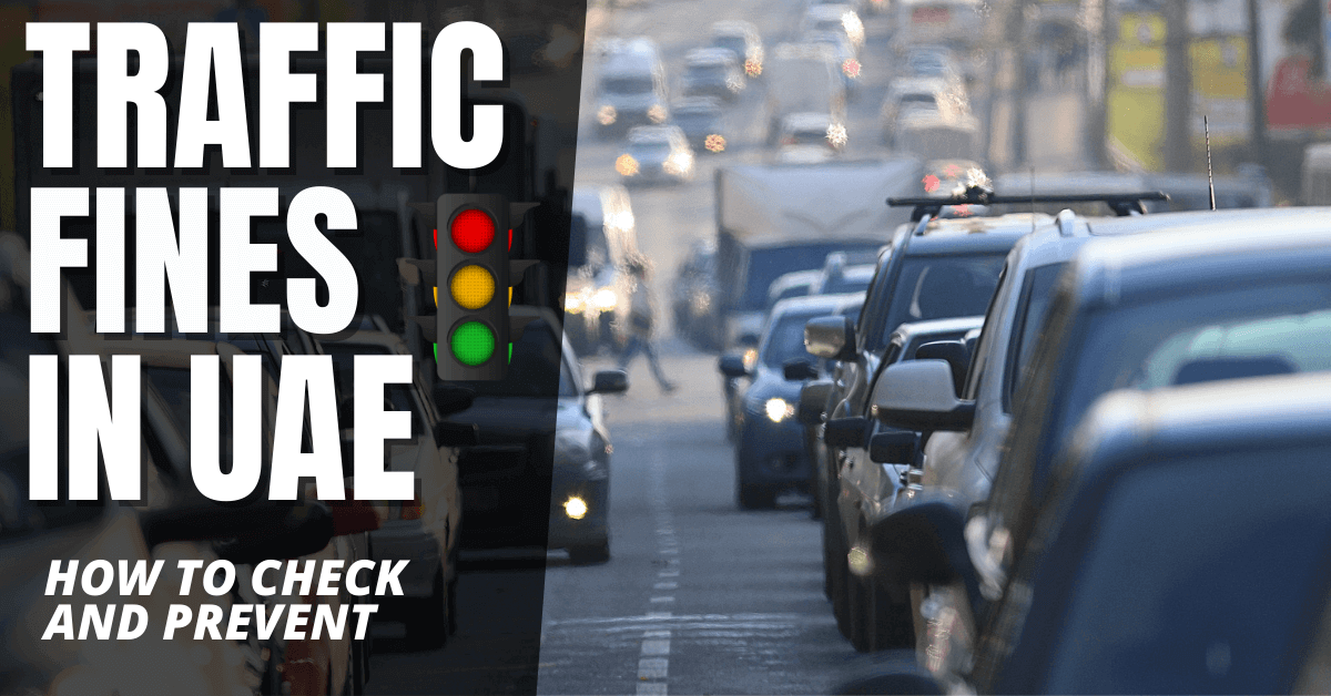 How to Get an International Driving Permit in the UAE - Full Guid